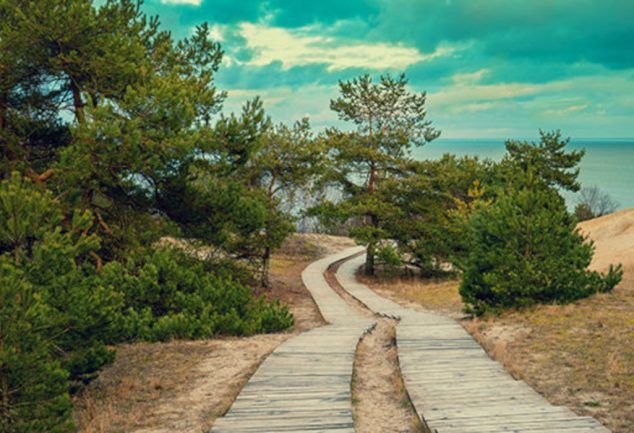 Cobol Trends Bmc Software Blogs