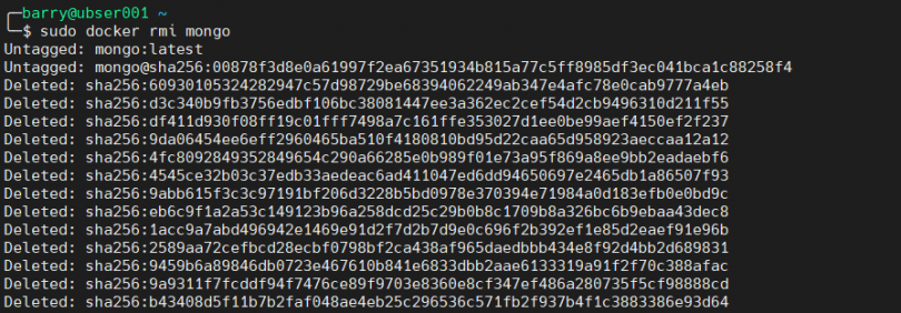 How To Run Mongodb As A Docker Container Bmc Blogs