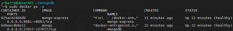 How To Run Mongodb As A Docker Container Bmc Blogs