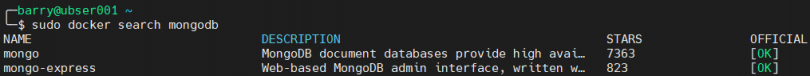 How To Run Mongodb As A Docker Container Bmc Blogs