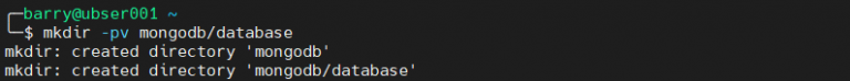 How To Run Mongodb As A Docker Container Bmc Blogs