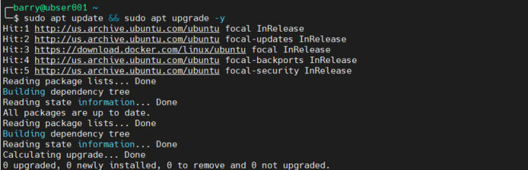 How To Run Mongodb As A Docker Container Bmc Software Blogs
