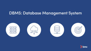 What Is DBMS (Database Management System)? – BMC Software | Blogs